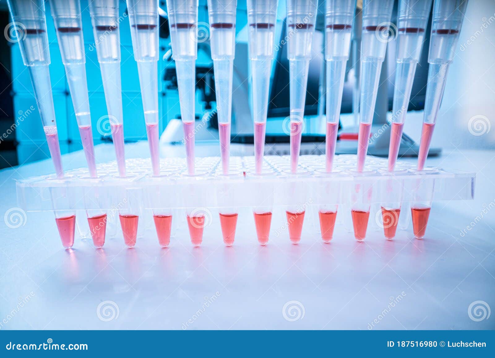 Sample of Biological Sample for DNA Analysis Stock Photo - Image of ...