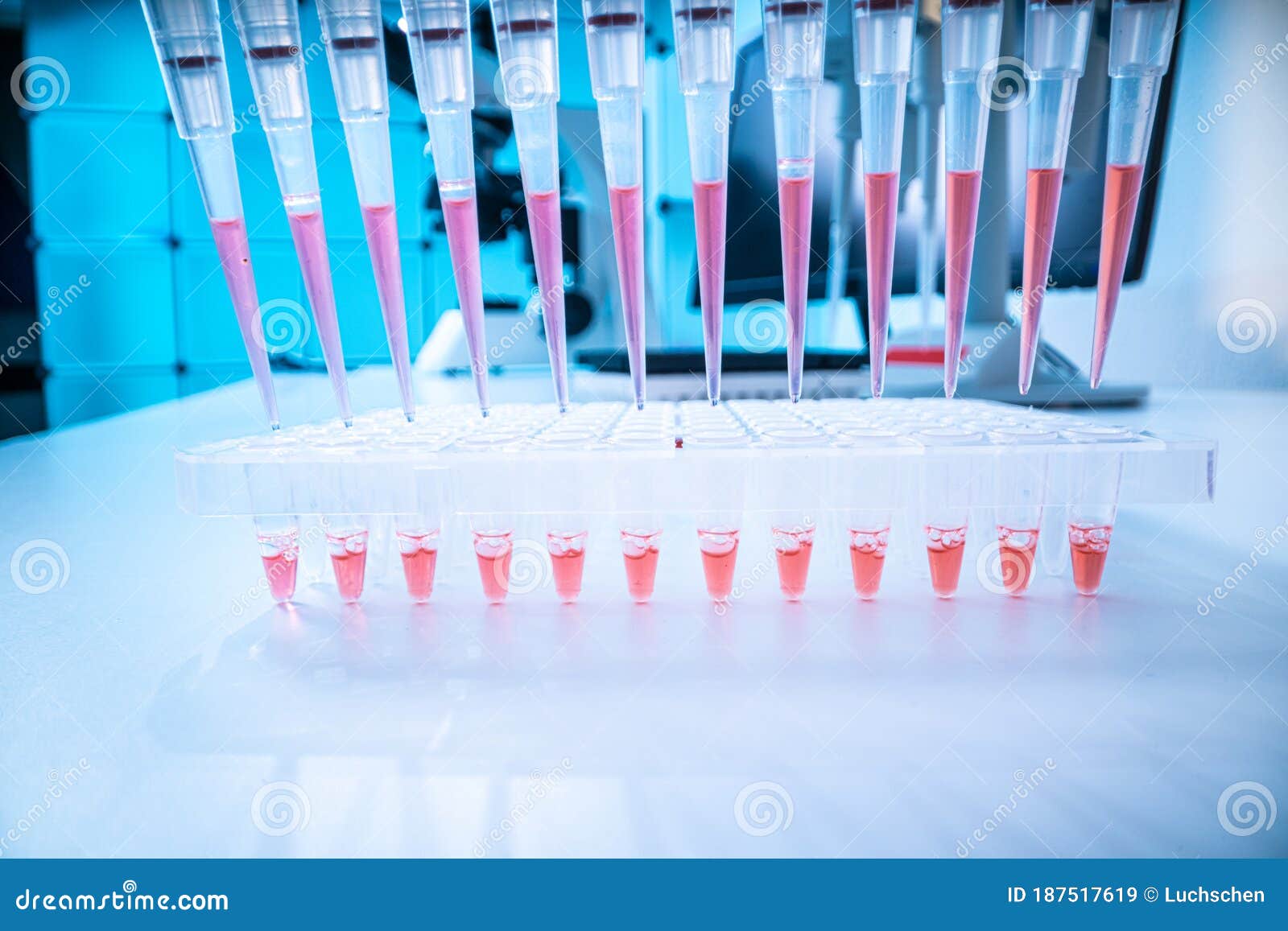 Sample of Biological Sample for DNA Analysis Stock Image - Image of ...