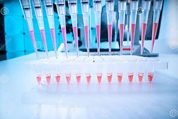 Sample of Biological Sample for DNA Analysis Stock Image - Image of ...