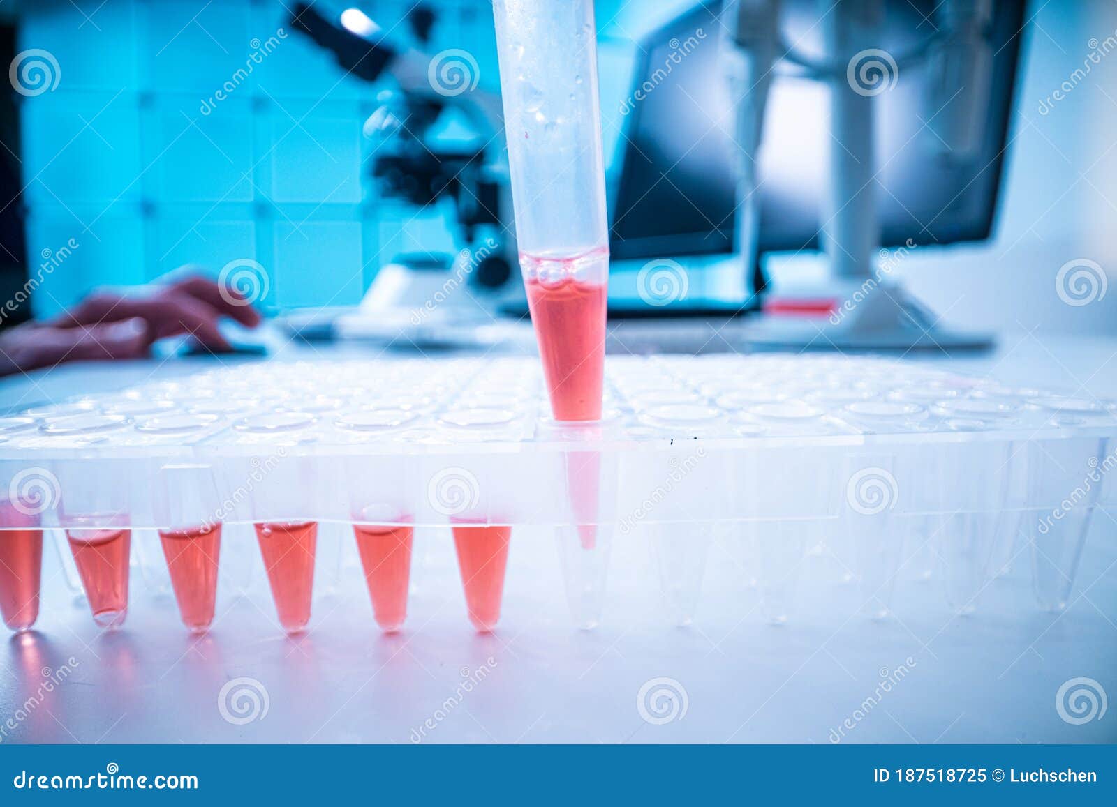 Sample of Biological Sample for DNA Analysis Stock Image - Image of ...