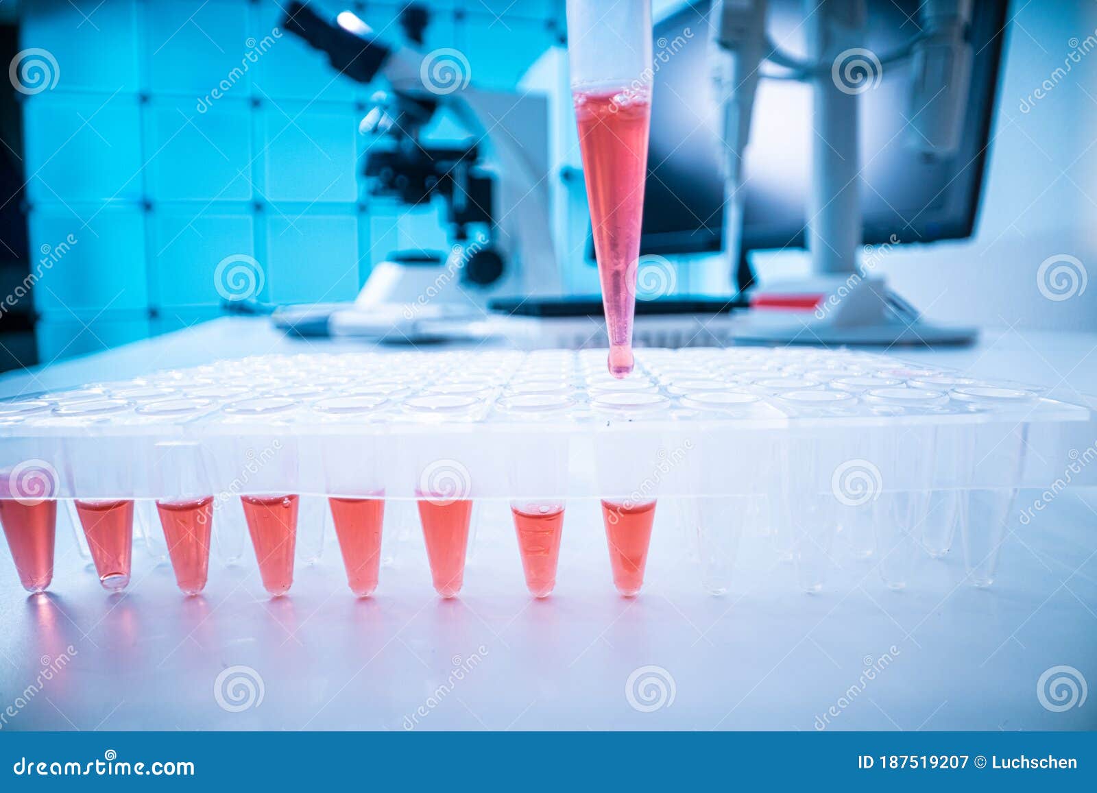 Sample of Biological Sample for DNA Analysis Stock Image - Image of ...