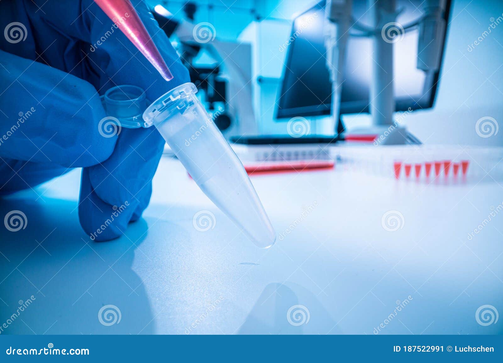 Sample of Biological Sample for DNA Analysis Stock Image - Image of ...