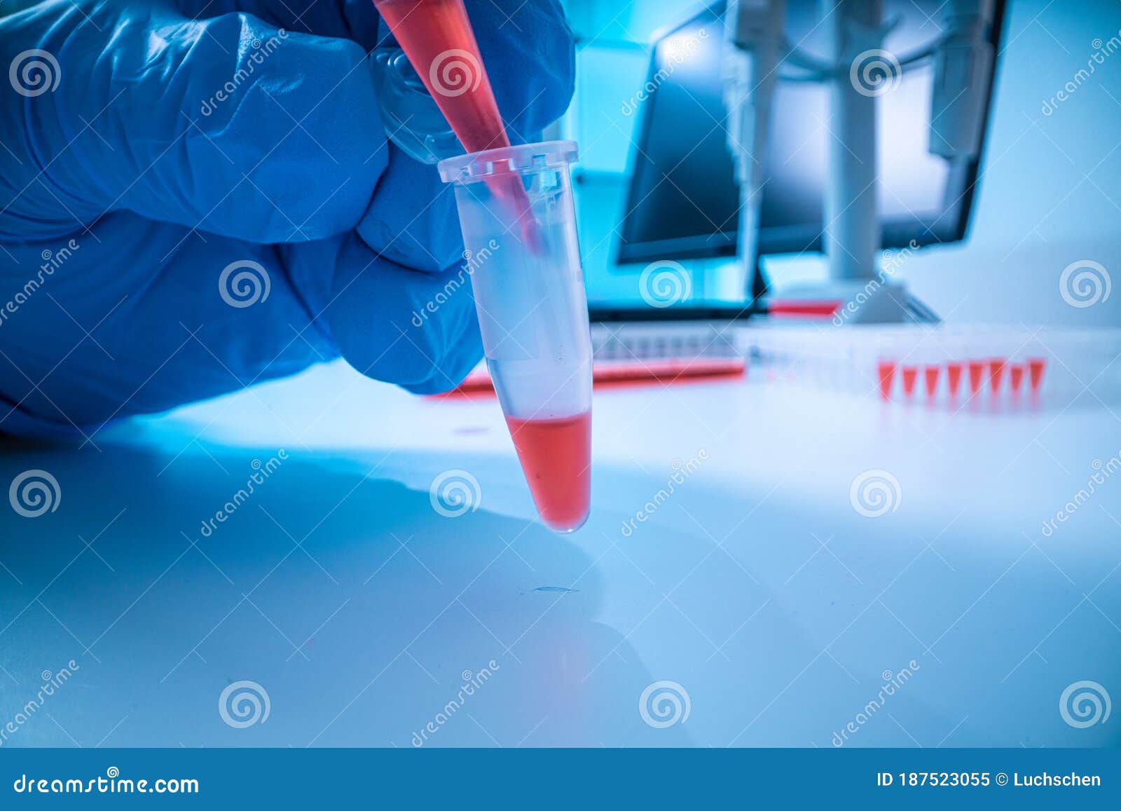 Sample of Biological Sample for DNA Analysis Stock Image - Image of ...