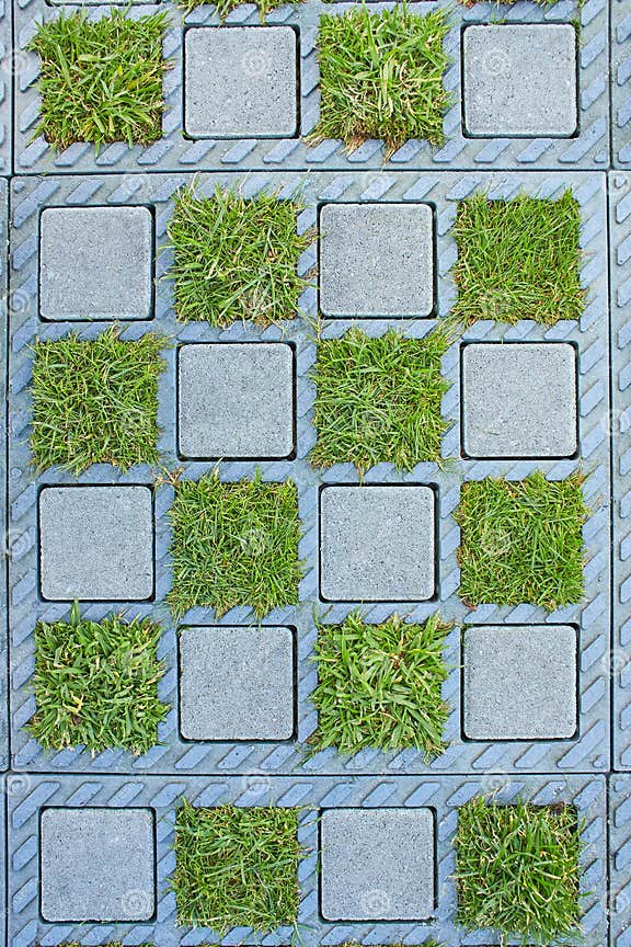 Sample of Brick Pavement with Grass. Stock Image - Image of ...