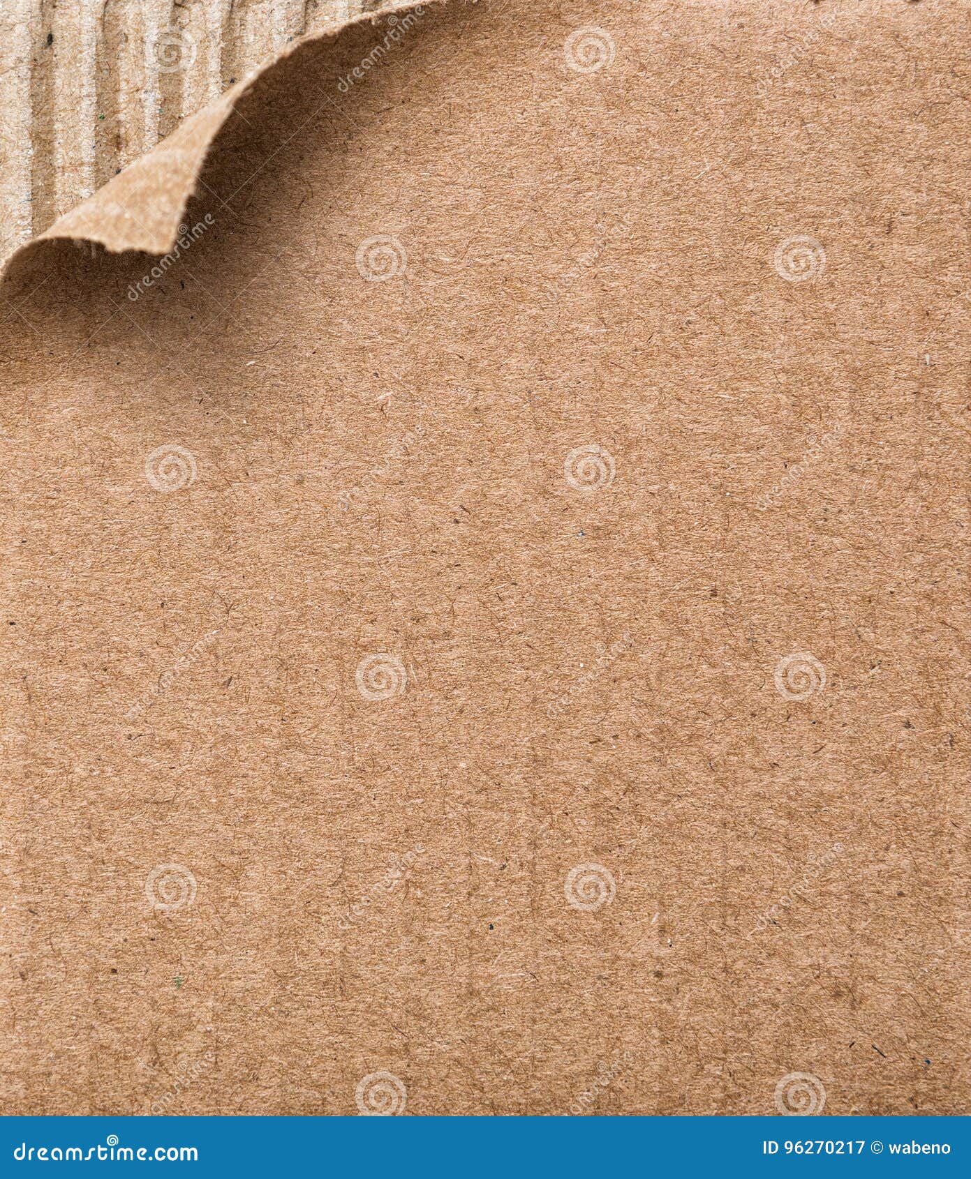 Sample cardboard stock image. Image of board, grunge - 96270217