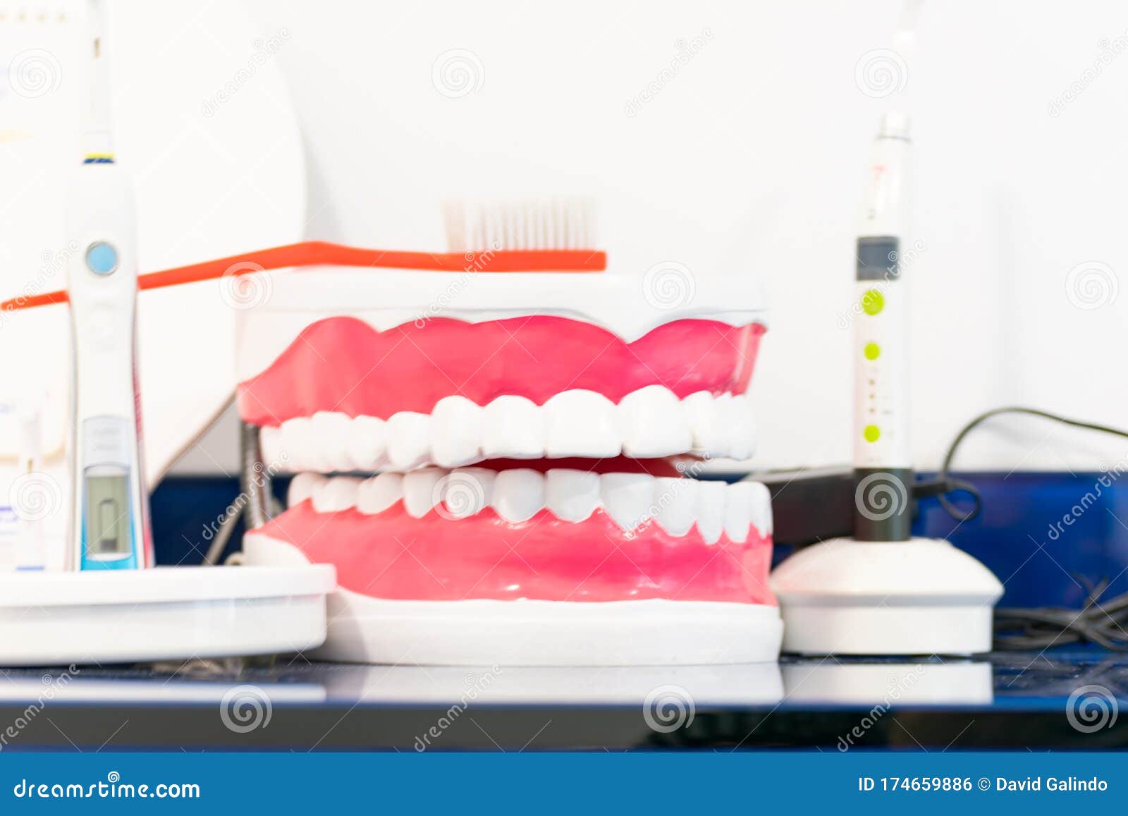 Sample Denture in Dentist Clinic Stock Photo - Image of oral, medicine ...