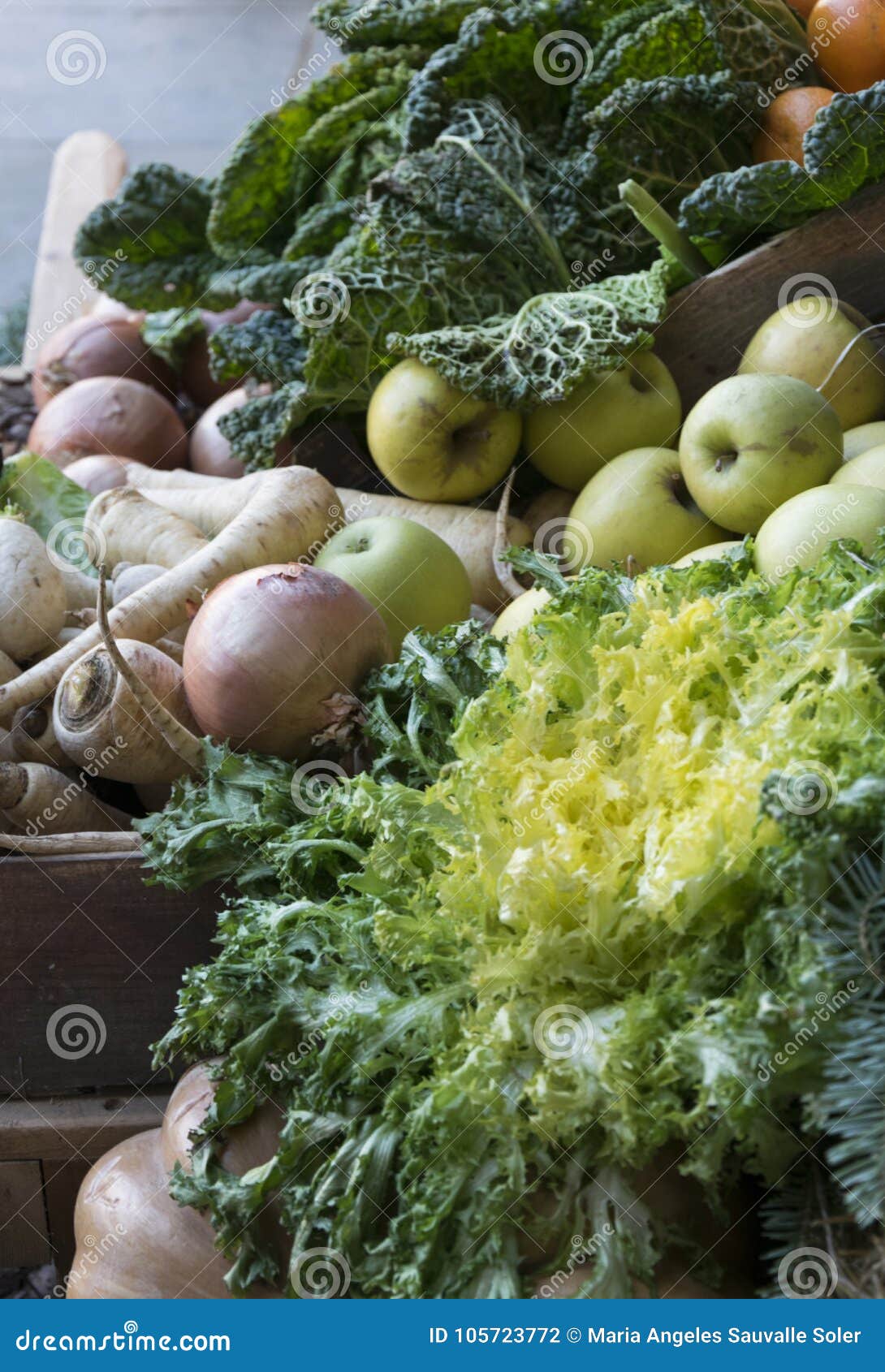 Collect Fruit and Vegetables. Stock Photo - Image of field, natural ...