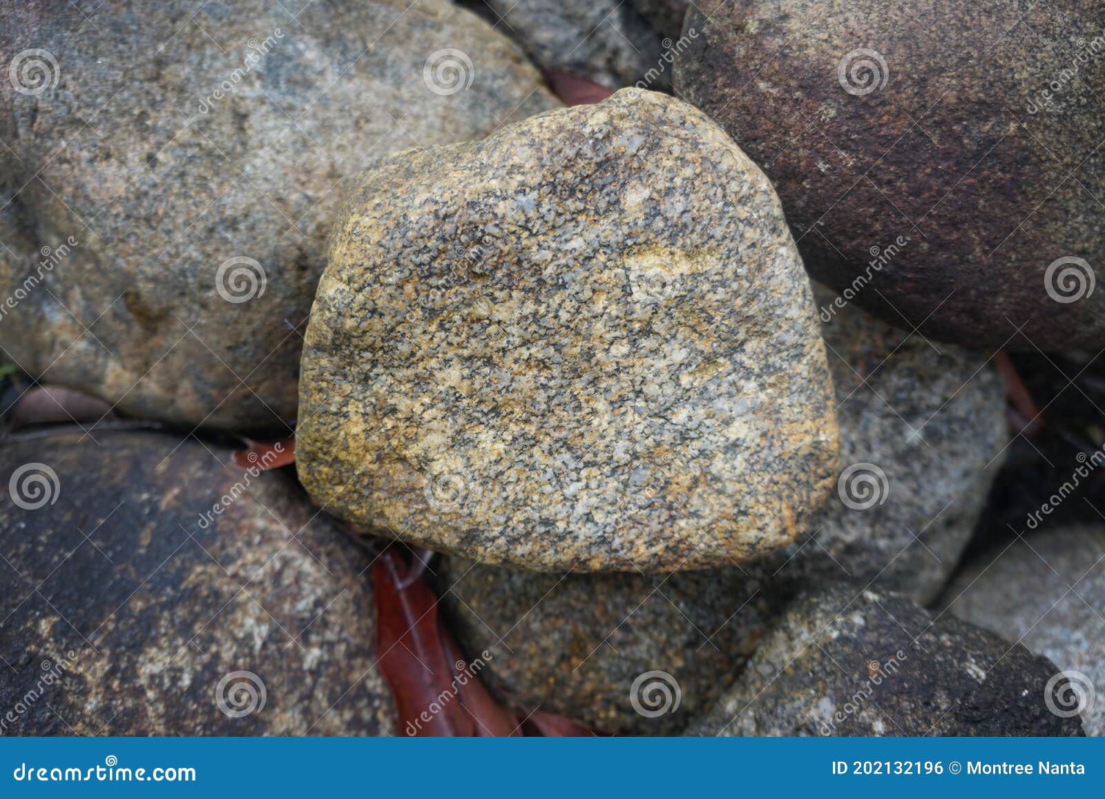 Sample of Granite Rock Stone. Stock Photo - Image of grains ...