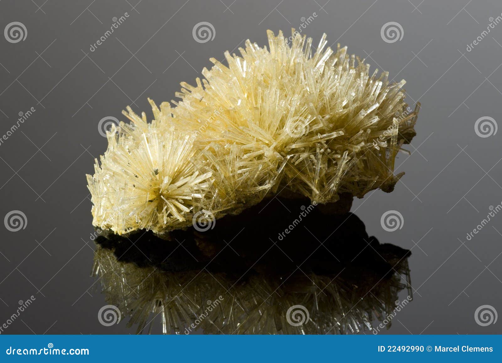 Sample of gypsum crystals. stock photo. Image of brittle - 22492990