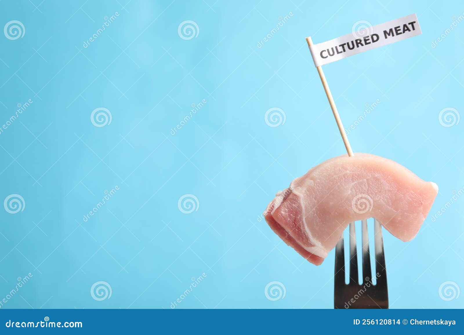 Sample Of Lab Grown Pork Labeled Cultured Meat On Fork Against Light ...