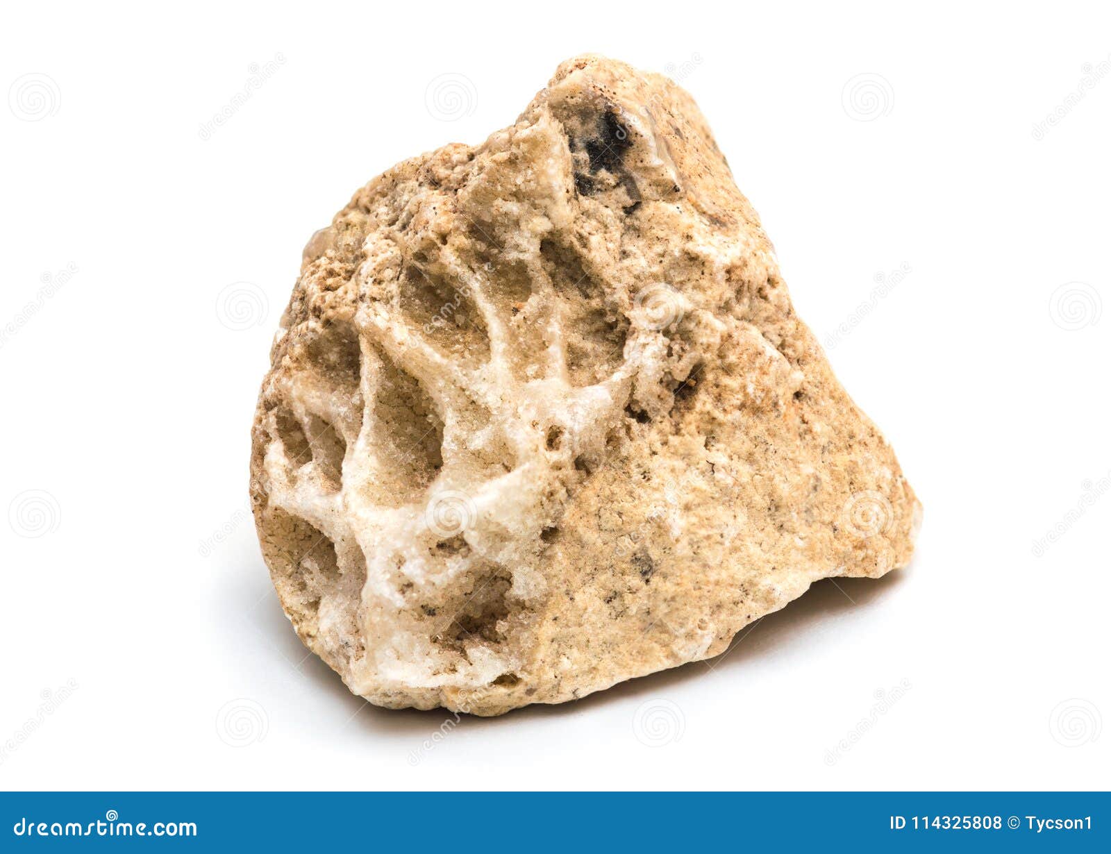 Limestone Isolated on White Background Stock Photo - Image of close ...