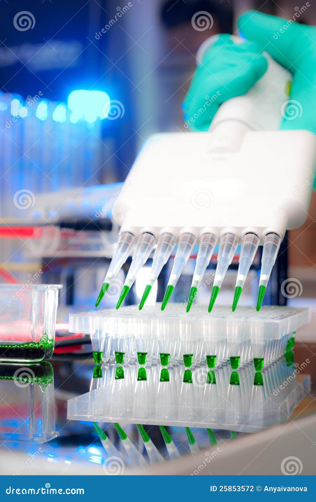 Sample Load with Multichannel Pipette Stock Photo - Image of analysis ...