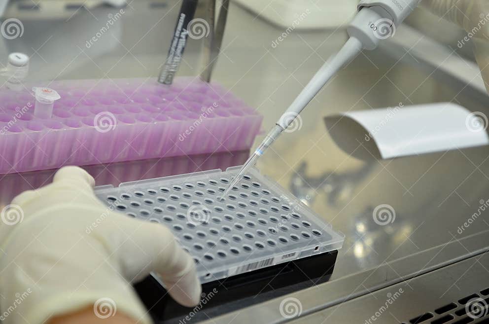 Sample loading stock image. Image of kits, glove, loading - 66252593