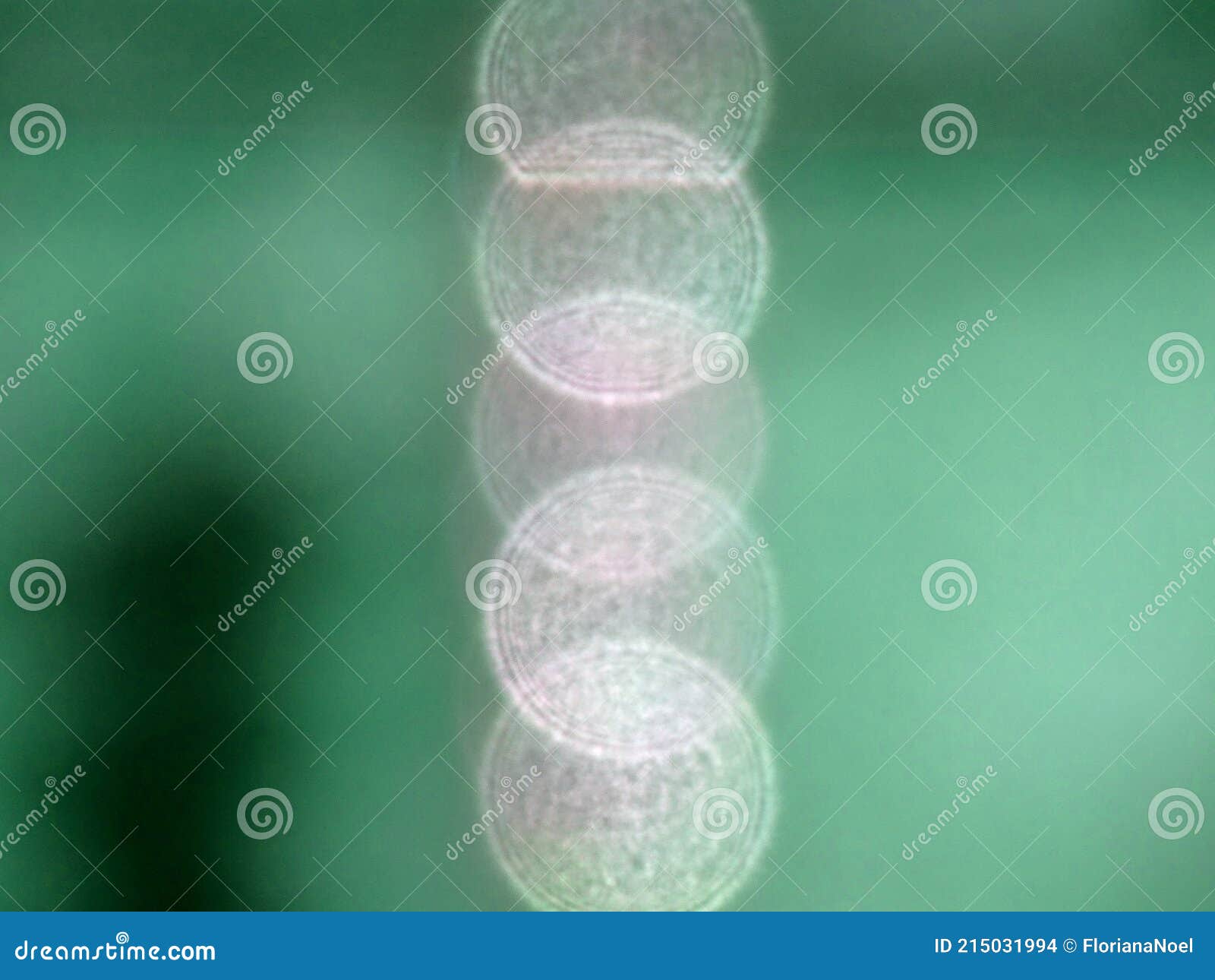 Sample of Microscopic Circles Stock Photo - Image of circles, organ ...