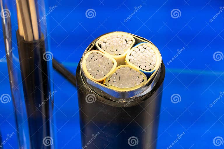 Sample of Multi-core Cable with Protected Wires Stock Photo - Image of shielding, structure ...