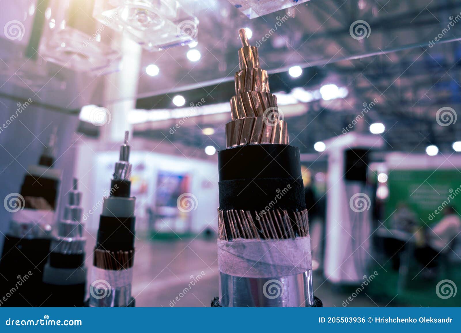 Sample Multicore Cable. Cut and Stripped Wire Stock Photo - Image of ...