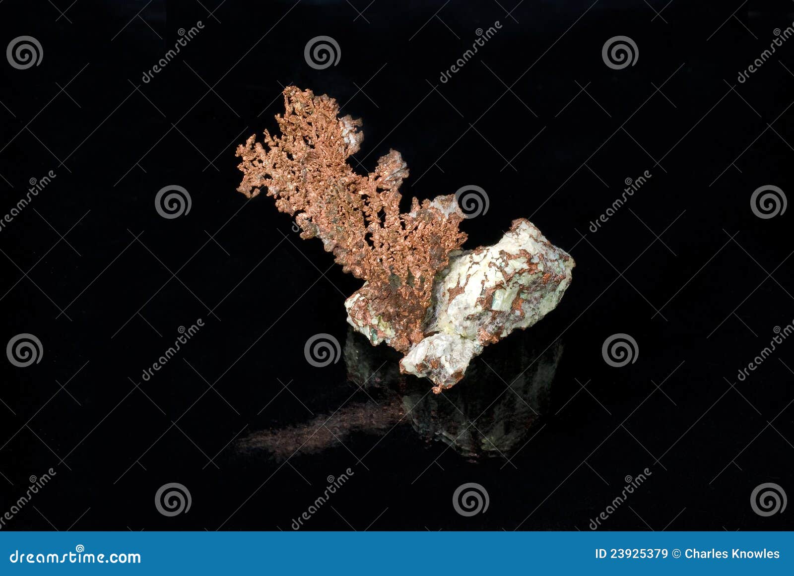 A sample of Native Copper stock image. Image of leaf - 23925379
