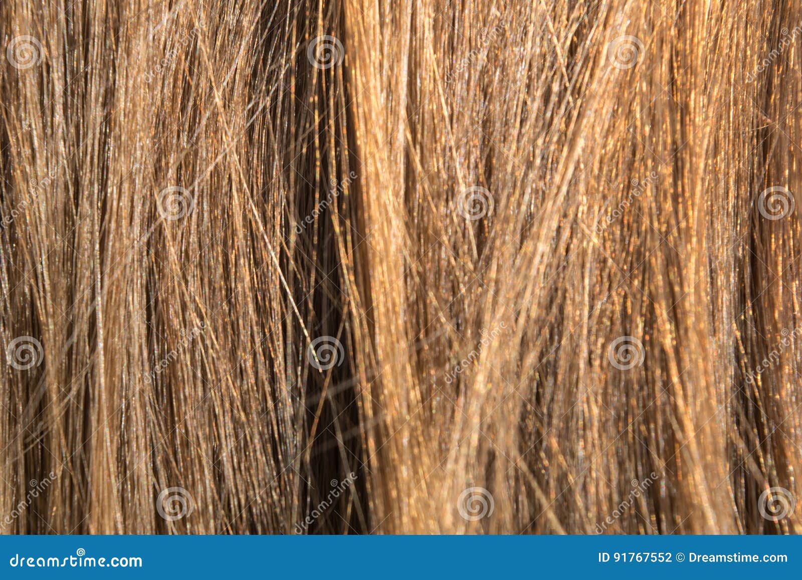 Sample Natural Blond Smooth Hair Stock Photo - Image of hairstyle ...
