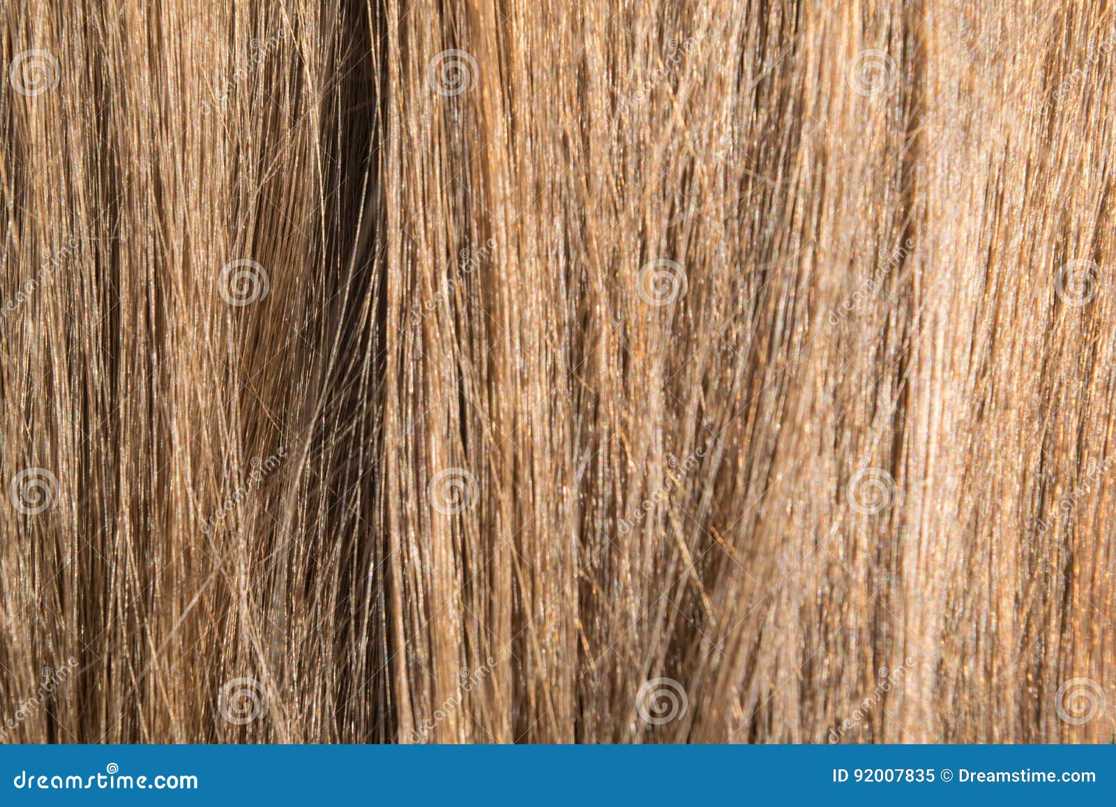 Sample Natural Blond Smooth Hair Stock Image - Image of lock ...