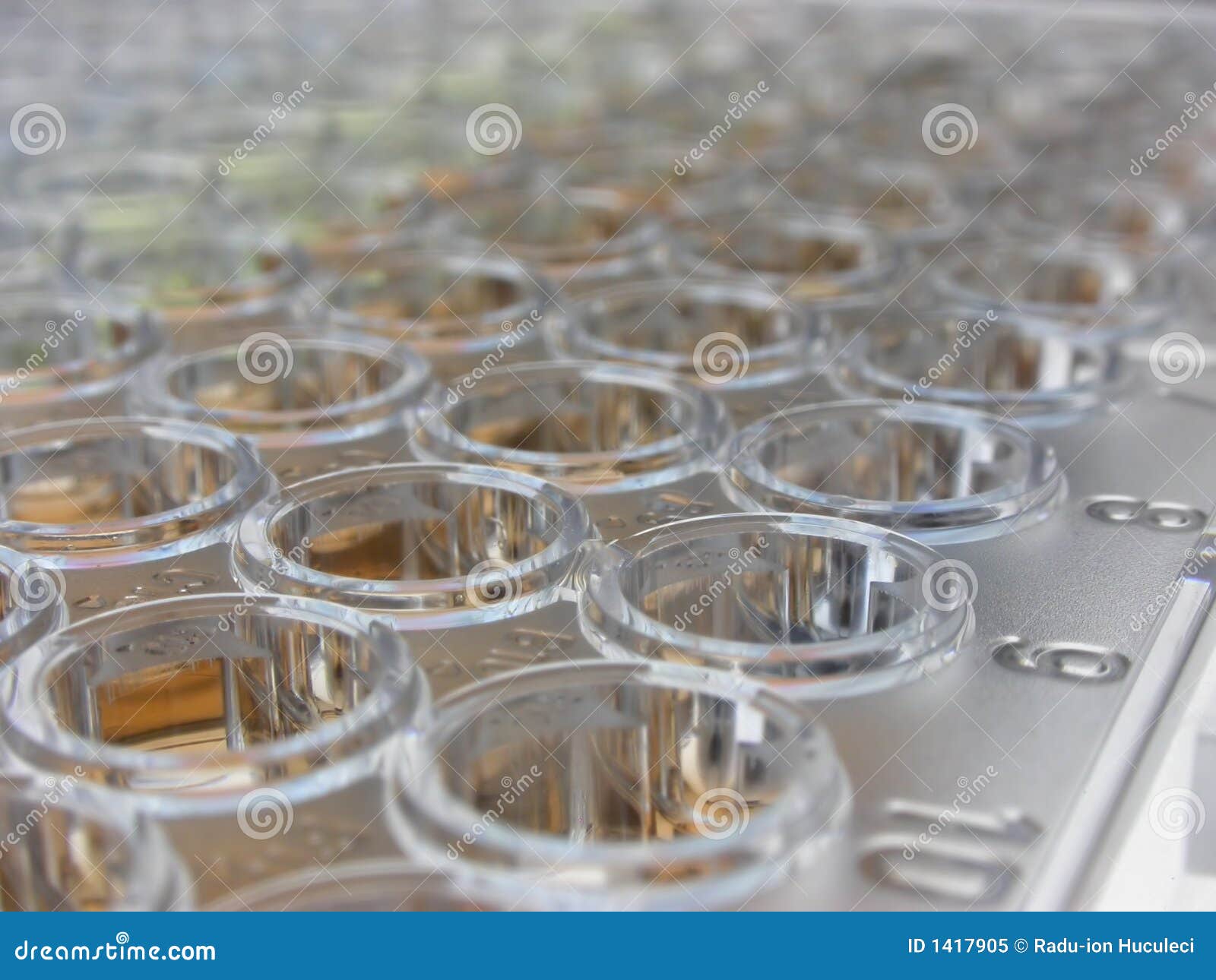 Sample plate-10 stock image. Image of forensic, education - 1417905