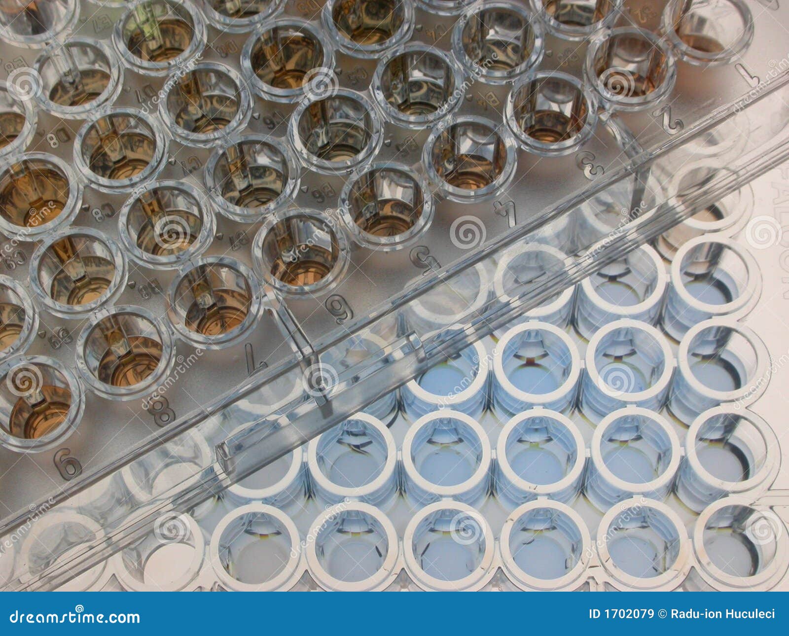 Sample plate stock image. Image of macro, blue, development - 1702079