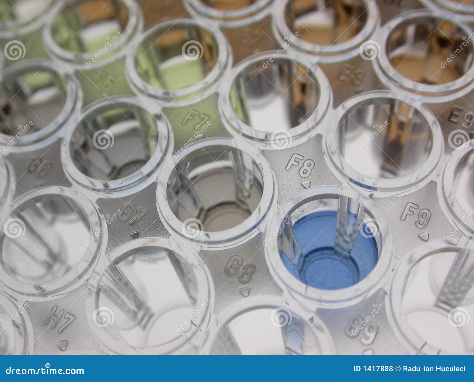 Sample plate-2 stock photo. Image of blue, genes, background - 1417888