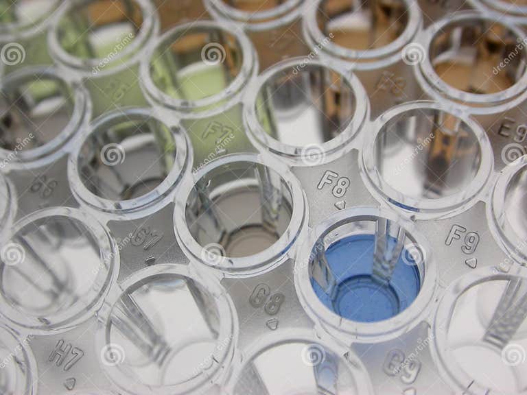 Sample plate-2 stock photo. Image of blue, genes, background - 1417888