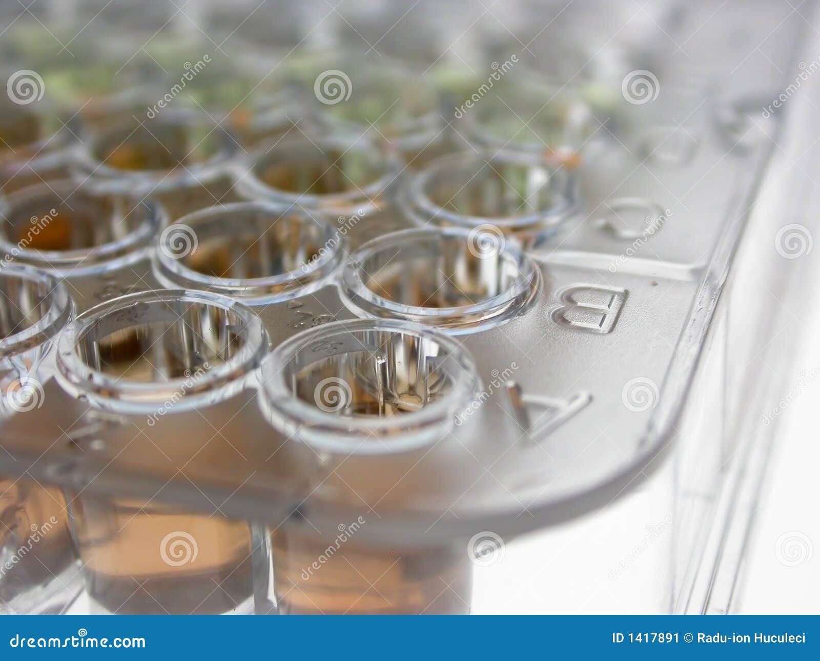 Sample plate-5 stock image. Image of eppendorf, biomedical - 1417891