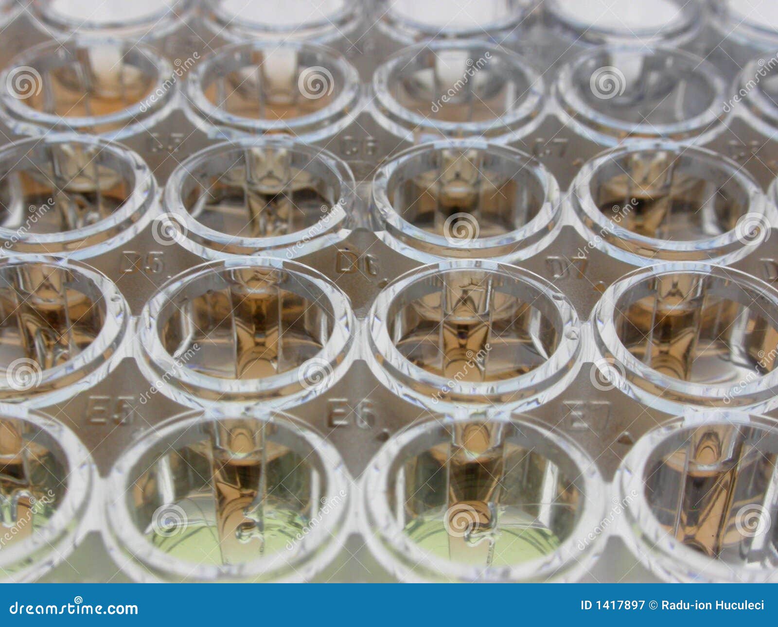 Sample plate-7 stock image. Image of biomedical, automatic - 1417897