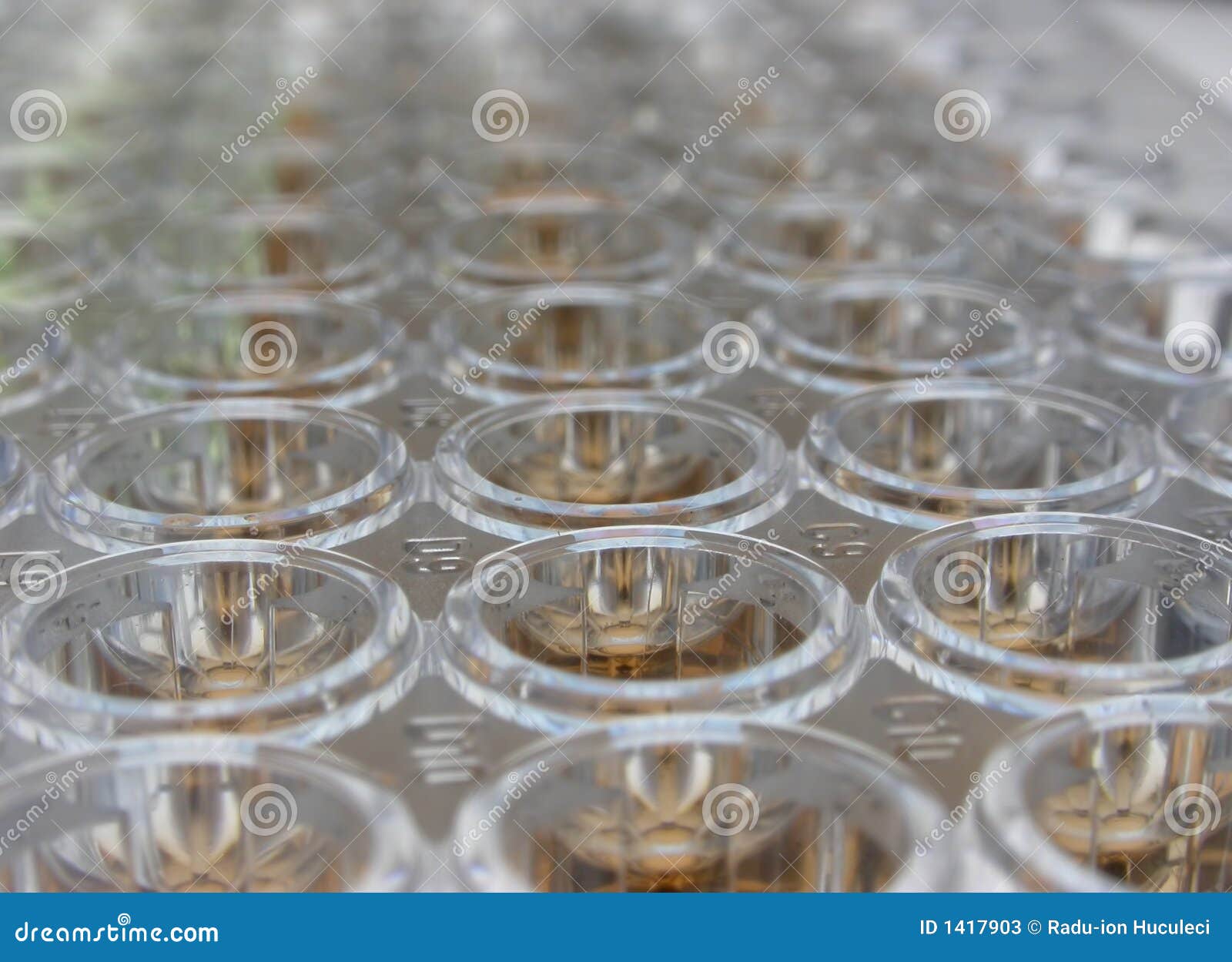 Sample Plate Royalty-Free Stock Photography | CartoonDealer.com #1702079