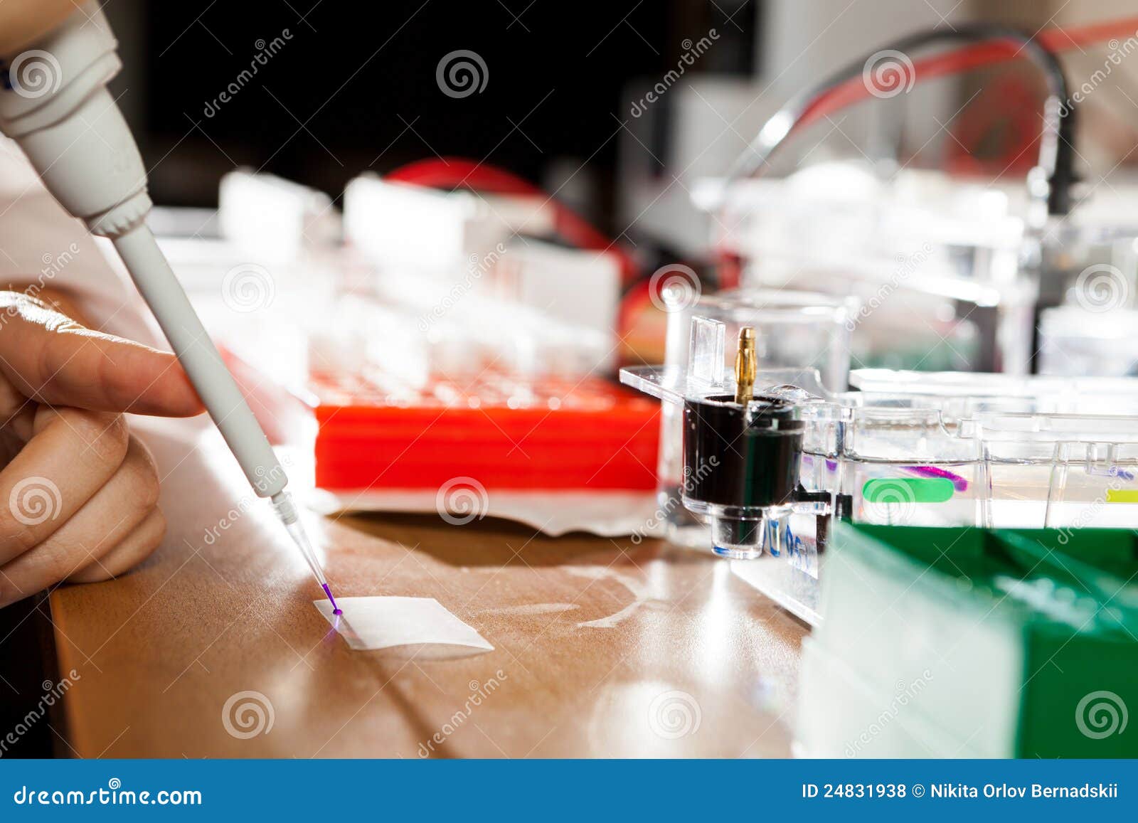 Sample Preparation for DNA Electrophoresis Stock Photo - Image of ...