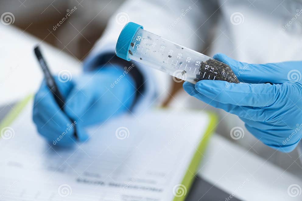 Sample Preparation for Pesticide Testing in Laboratory Stock Image ...