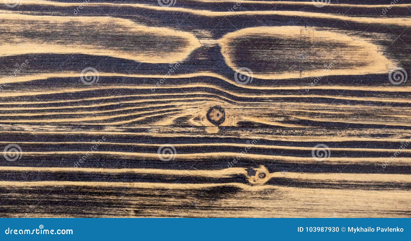 Sample Tree Texture Background Royalty-Free Stock Image | CartoonDealer ...