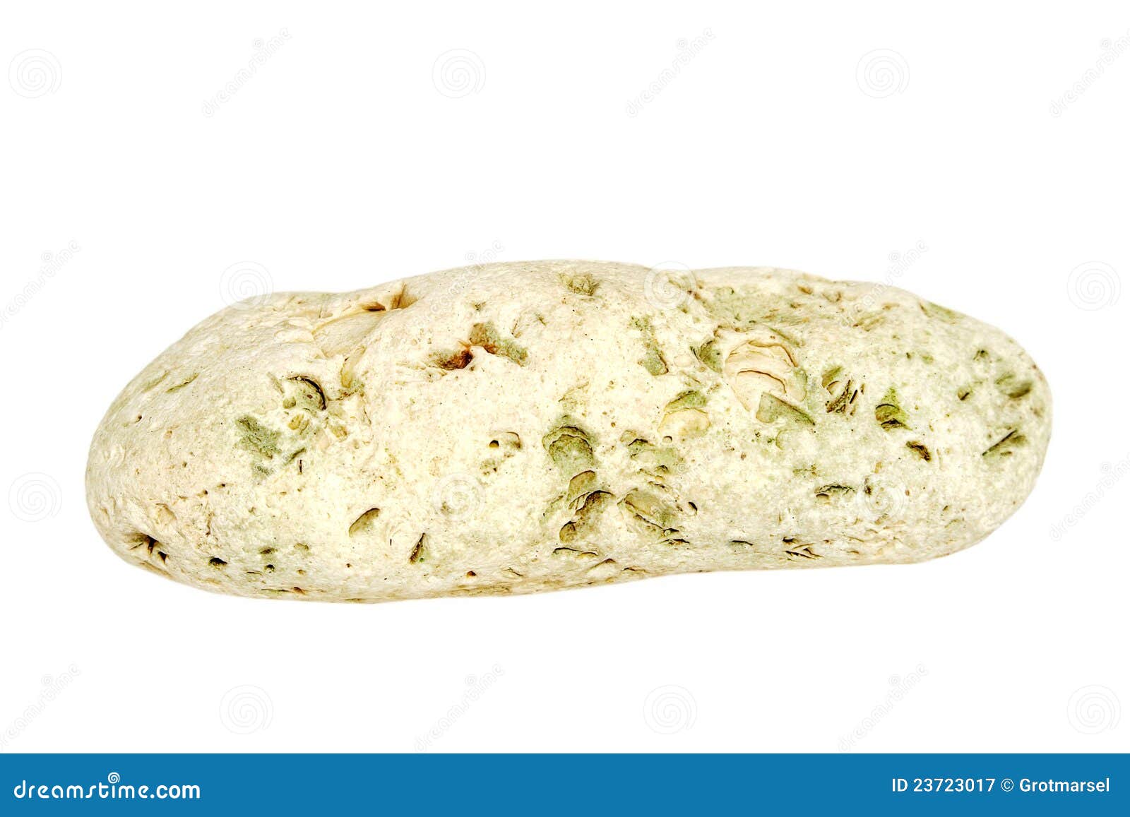 Sample White Shell Limestone. Stock Image - Image of close, marine ...