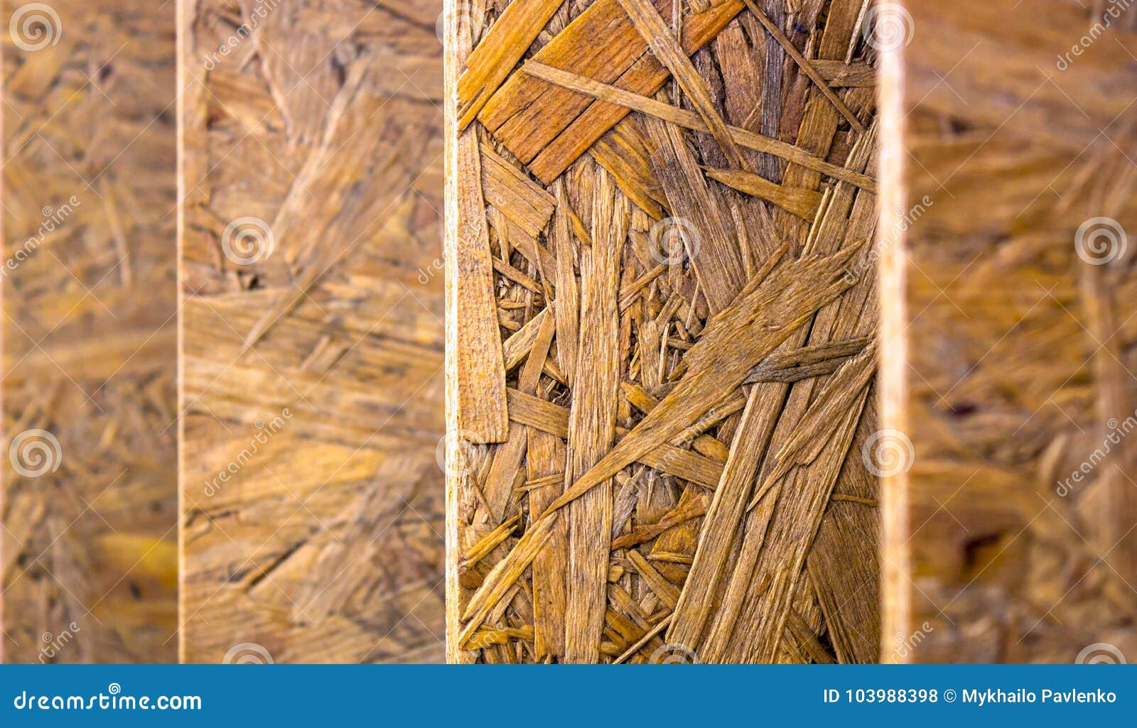 Sample Tree Texture Background Stock Photo - Image of construction ...