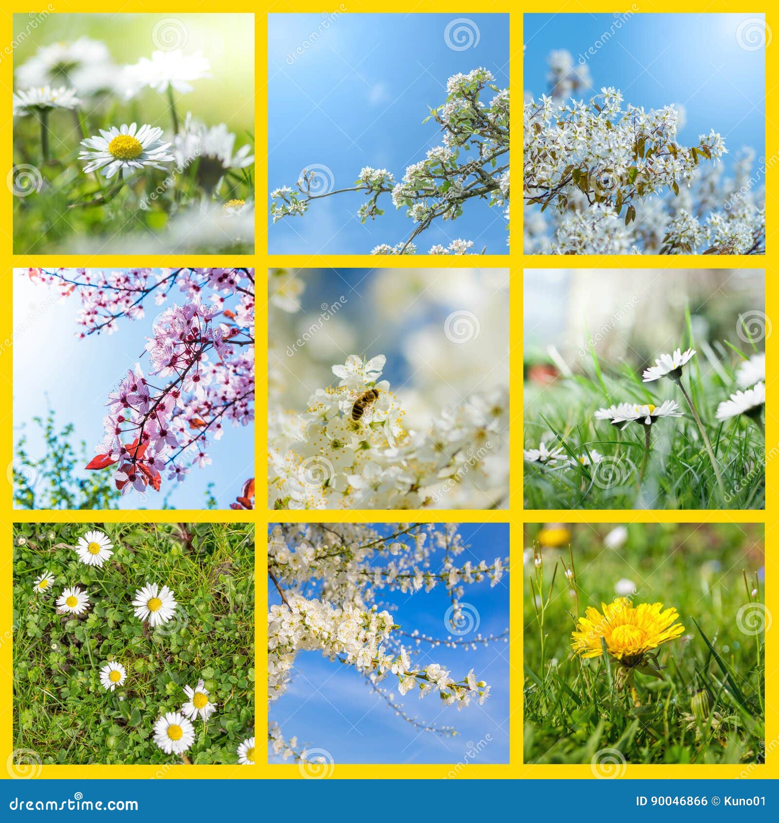 Sampler of spring flowers stock photo. Image of emotion - 90046866