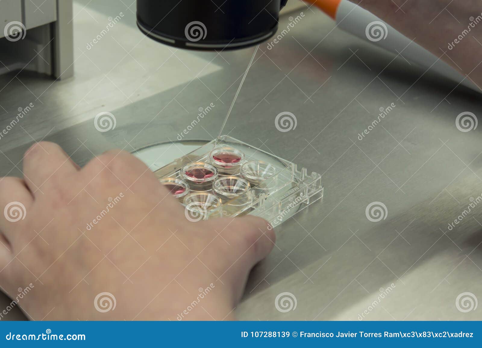 Samples for Assisted Reproduction, Laboratory Equipment Stock Image ...