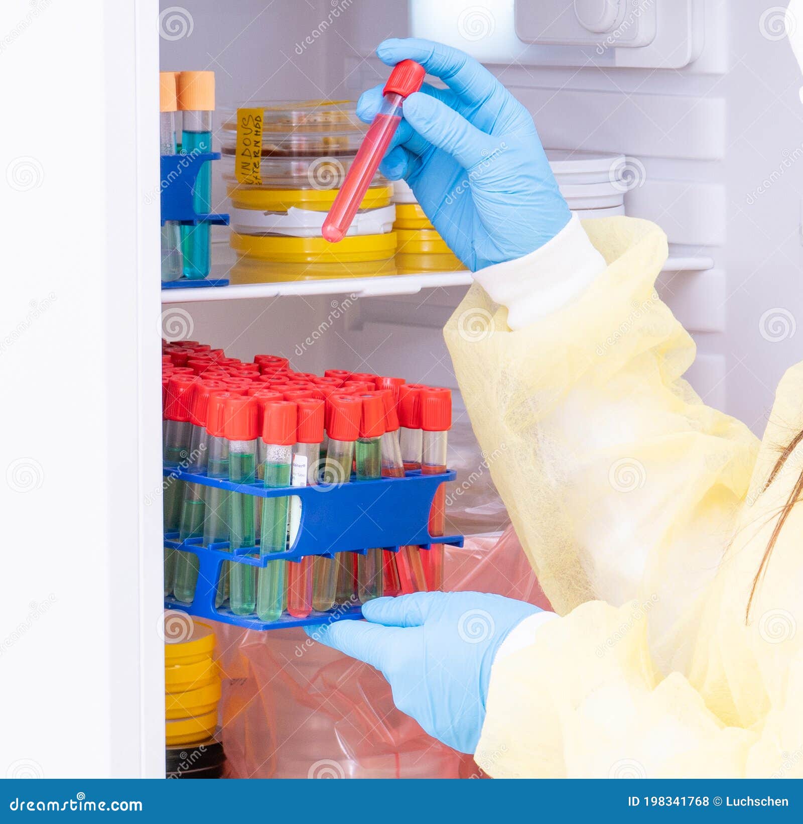 Samples of Biological Substances in the Refrigerator of the Laboratory ...