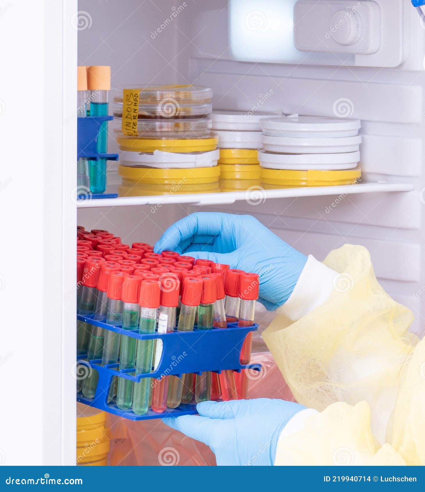 Samples of Biological Substances in the Refrigerator of the Laboratory ...