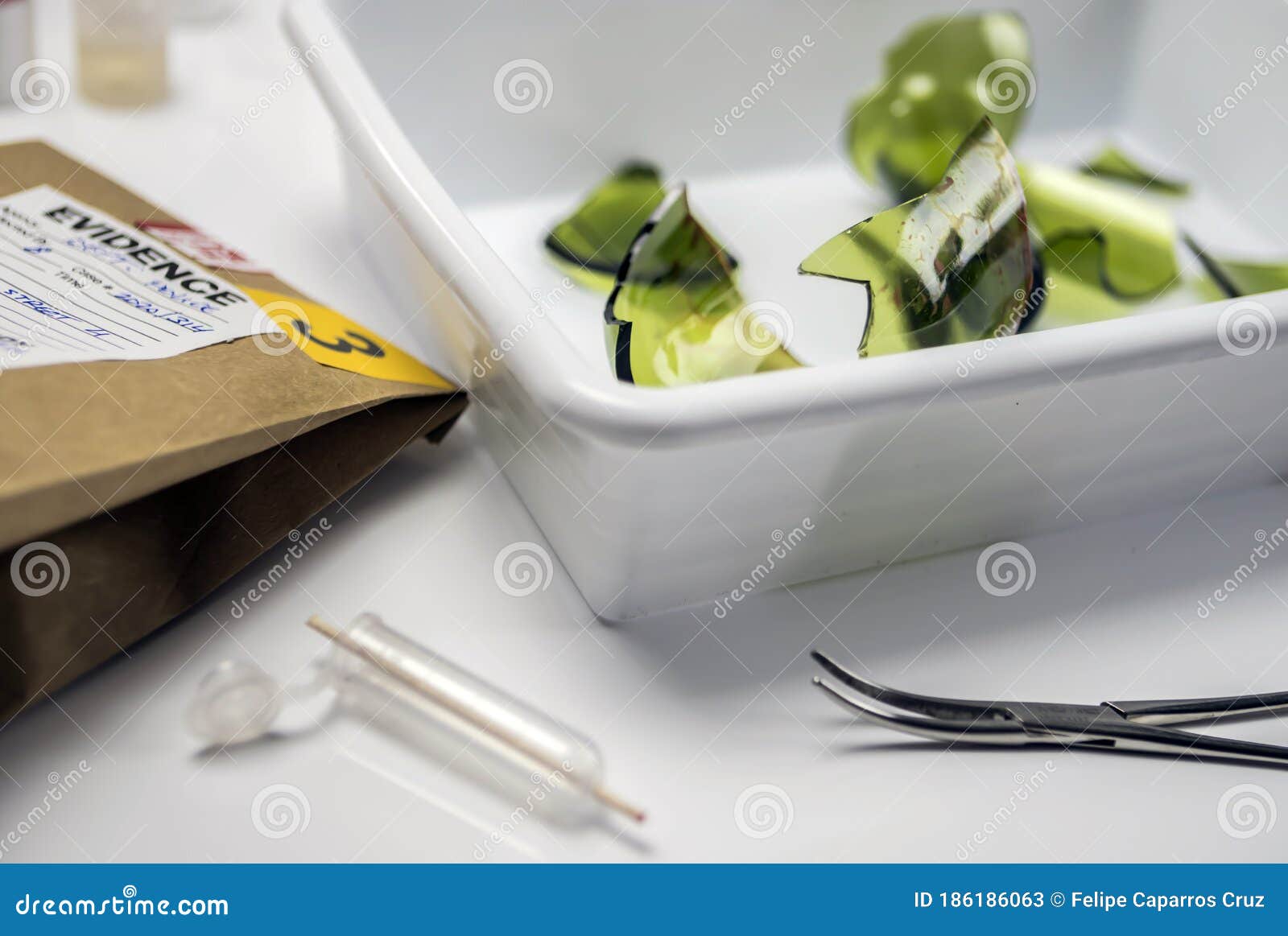 Samples from a Broken Glass Bottle in Criminalistic Lab Stock Image ...