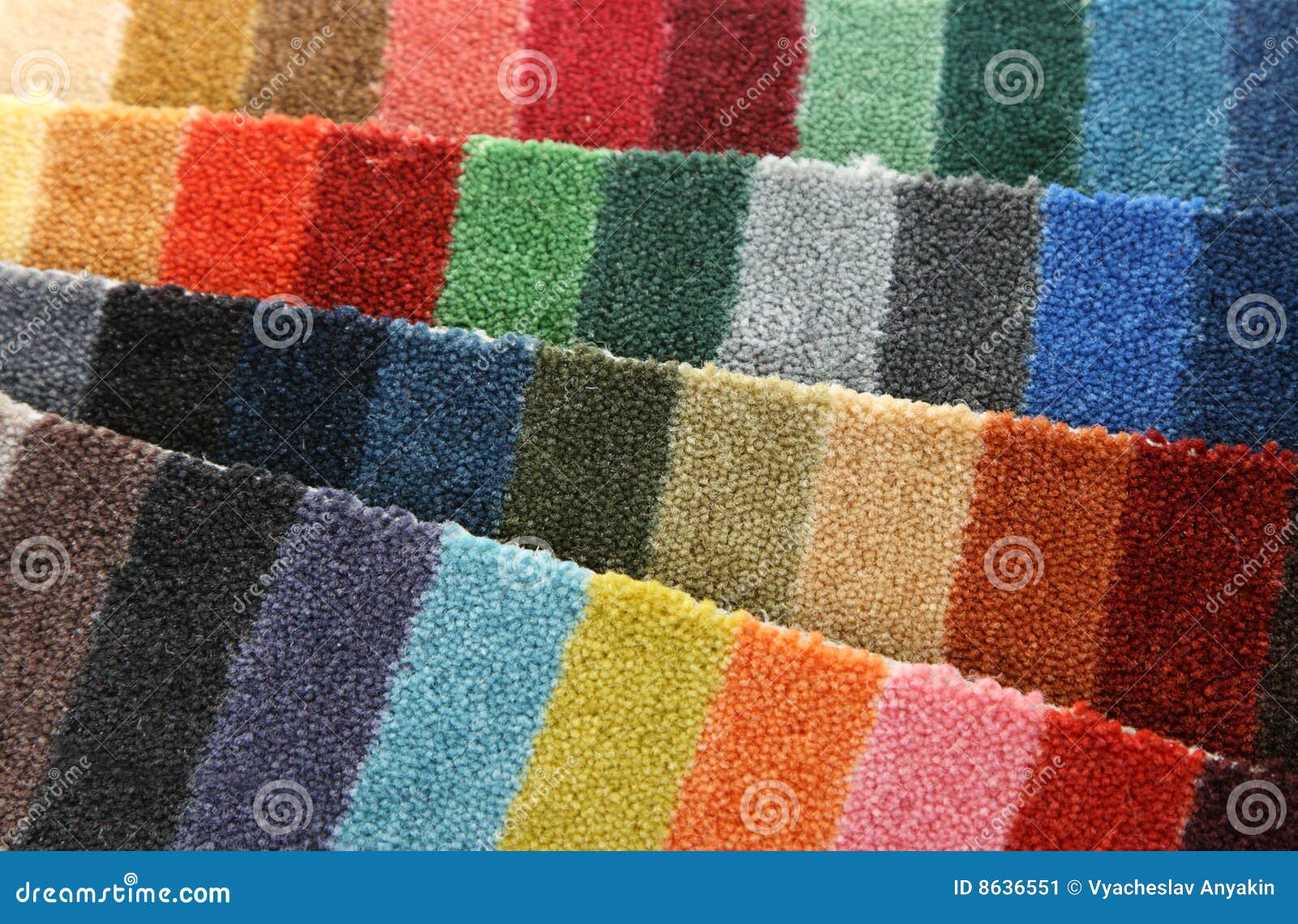 Samples of Color of a Carpet Covering Stock Image - Image of striped ...