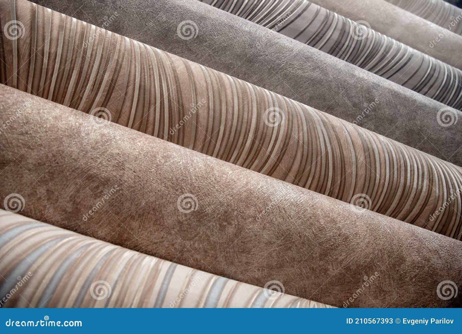 Samples of Different Colorful Rolls of Wallpaper in Shop, Choice in Row ...