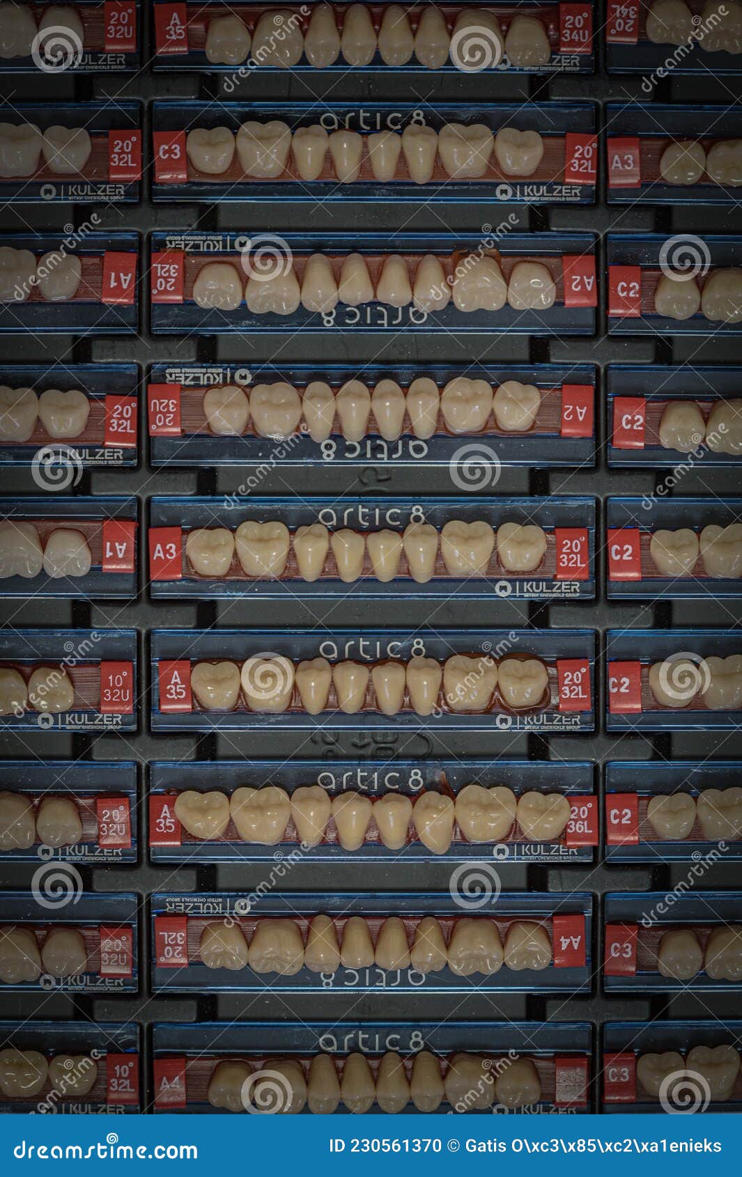 Samples of Human Artificial Teeth Stock Photo - Image of dentist ...