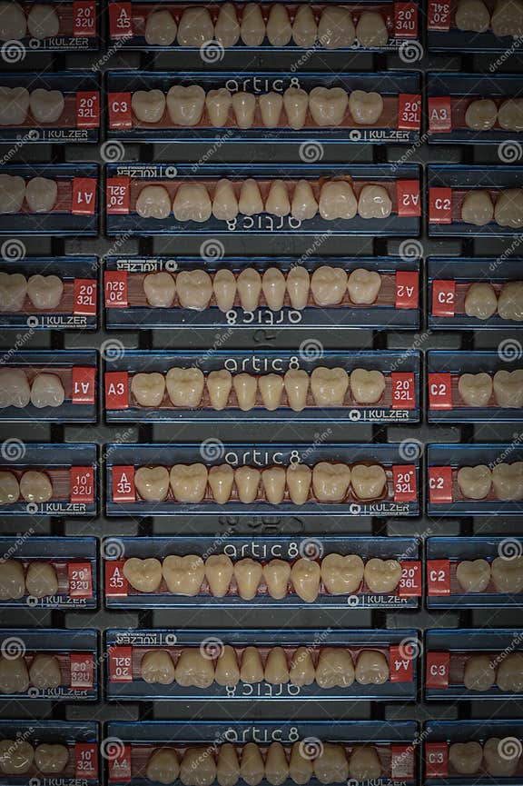 Samples of Human Artificial Teeth Stock Photo - Image of dentist ...