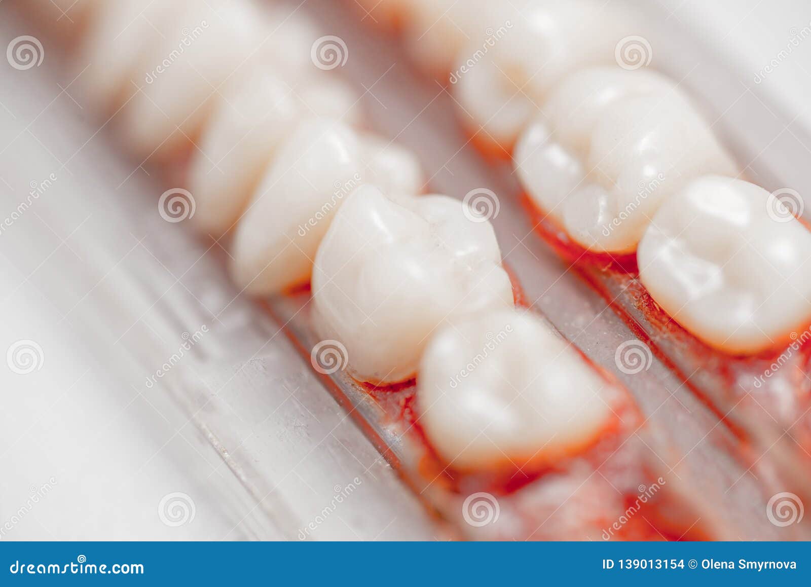 Samples of human teeth stock photo. Image of porcelain - 139013154