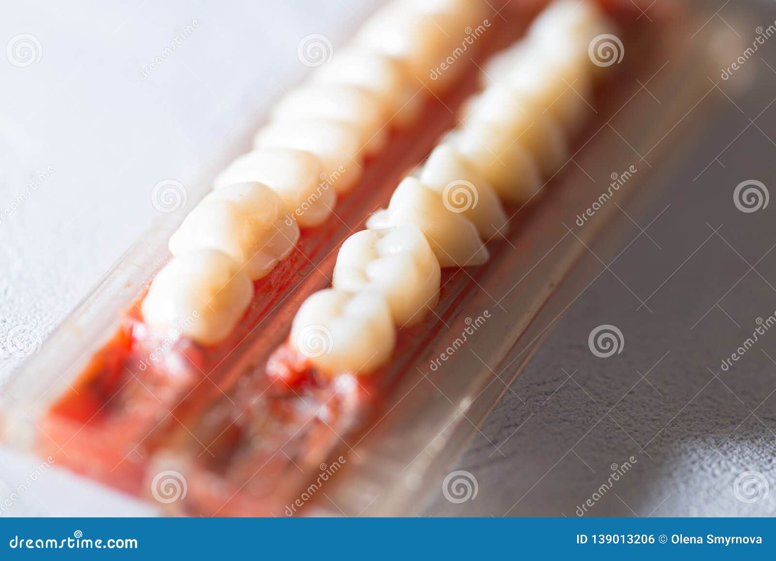 Samples of human teeth stock photo. Image of porcelain - 139013206