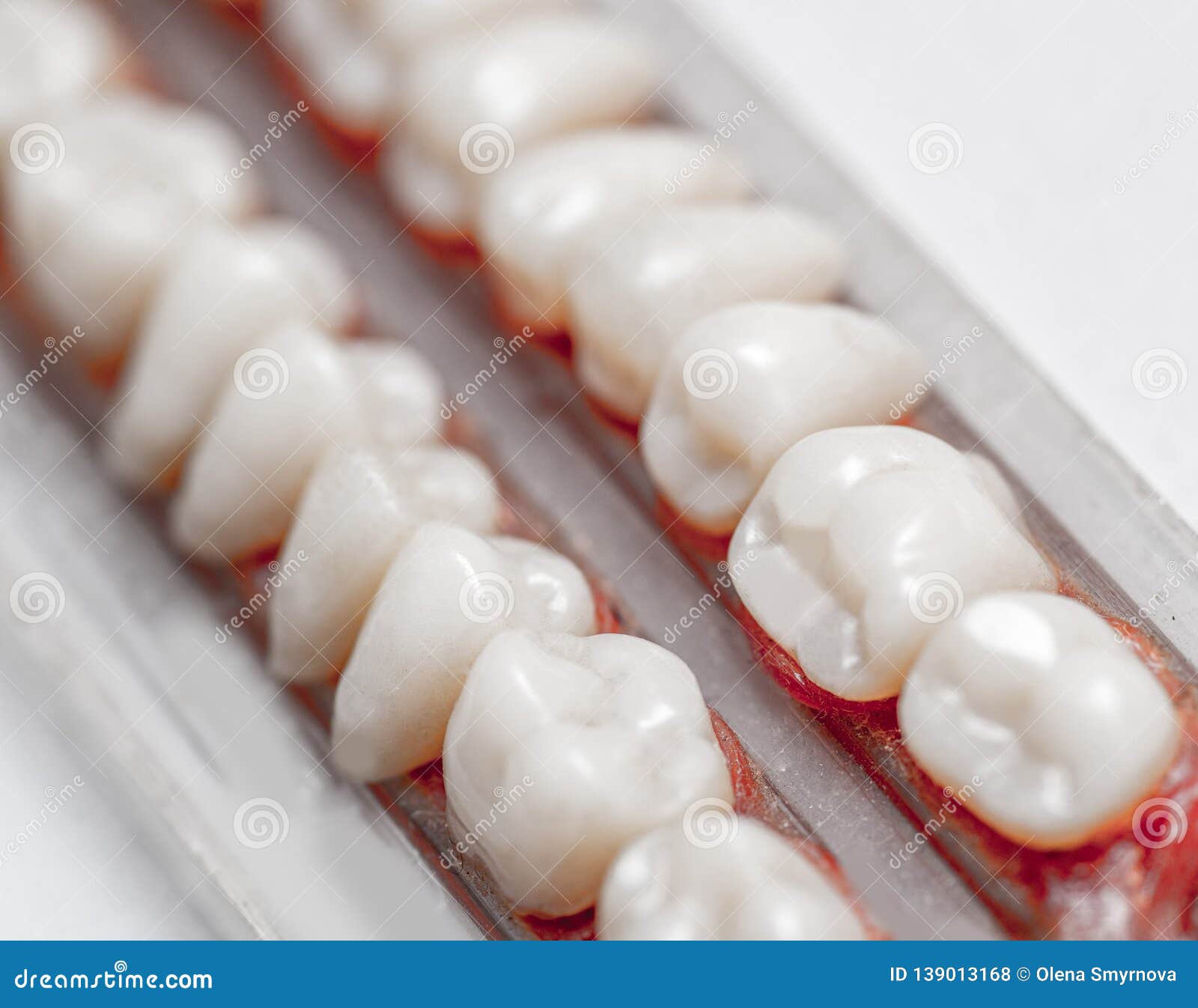Samples of human teeth stock photo. Image of projections - 139013168