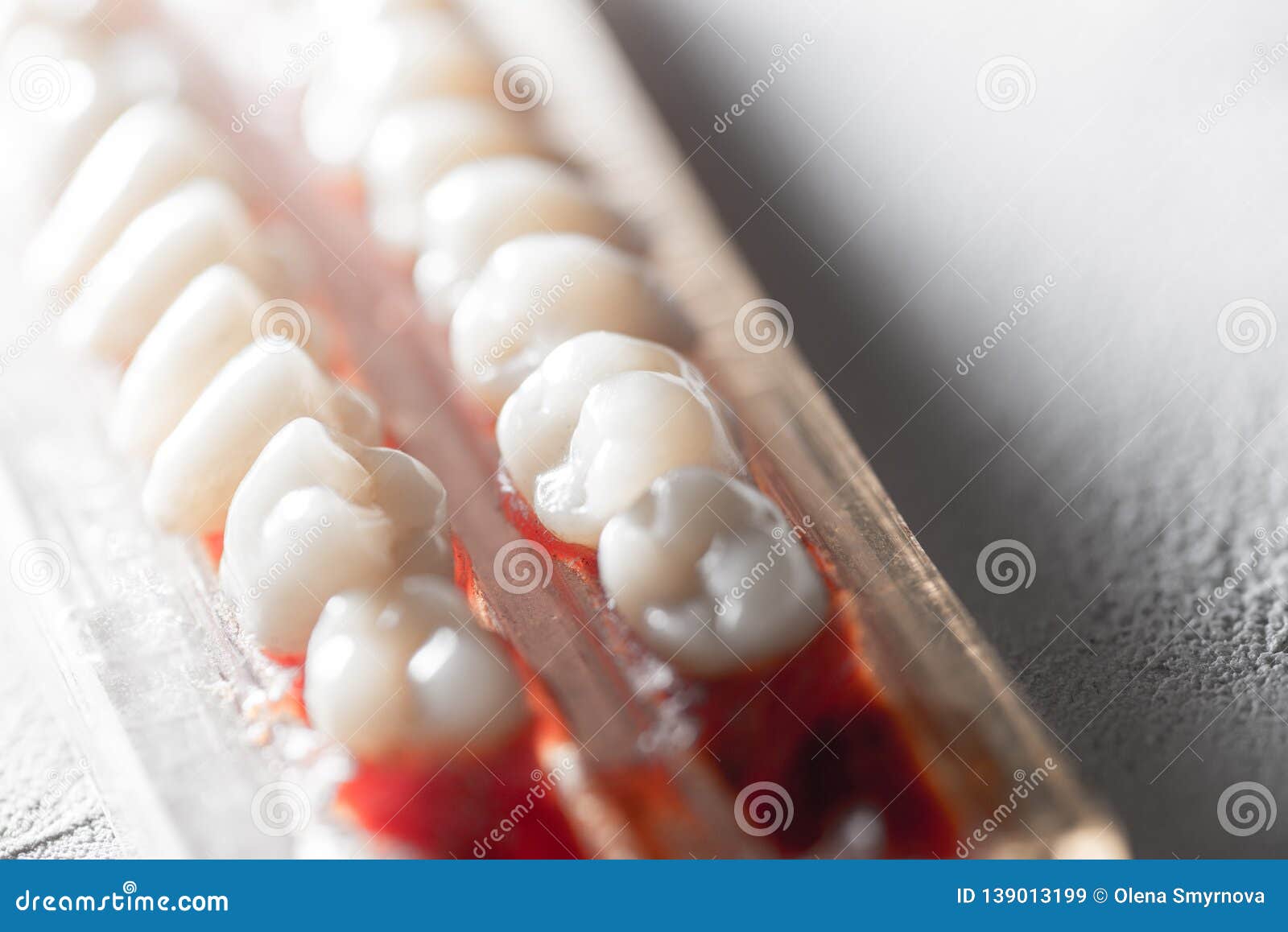 Samples of human teeth stock image. Image of instrument - 139013199
