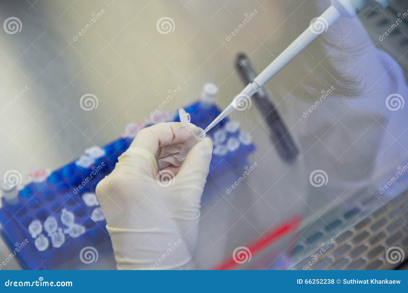 Samples loading stock photo. Image of microbiology, molecular - 66252238