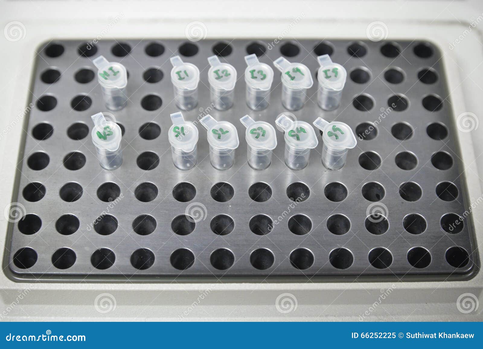 Samples loading stock image. Image of reaction, tube - 66252225